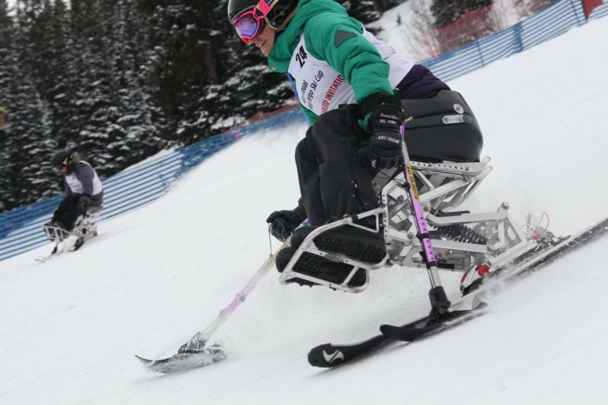 Motorcycle Springs | Dirt Bike Springs | Street Bike Springs